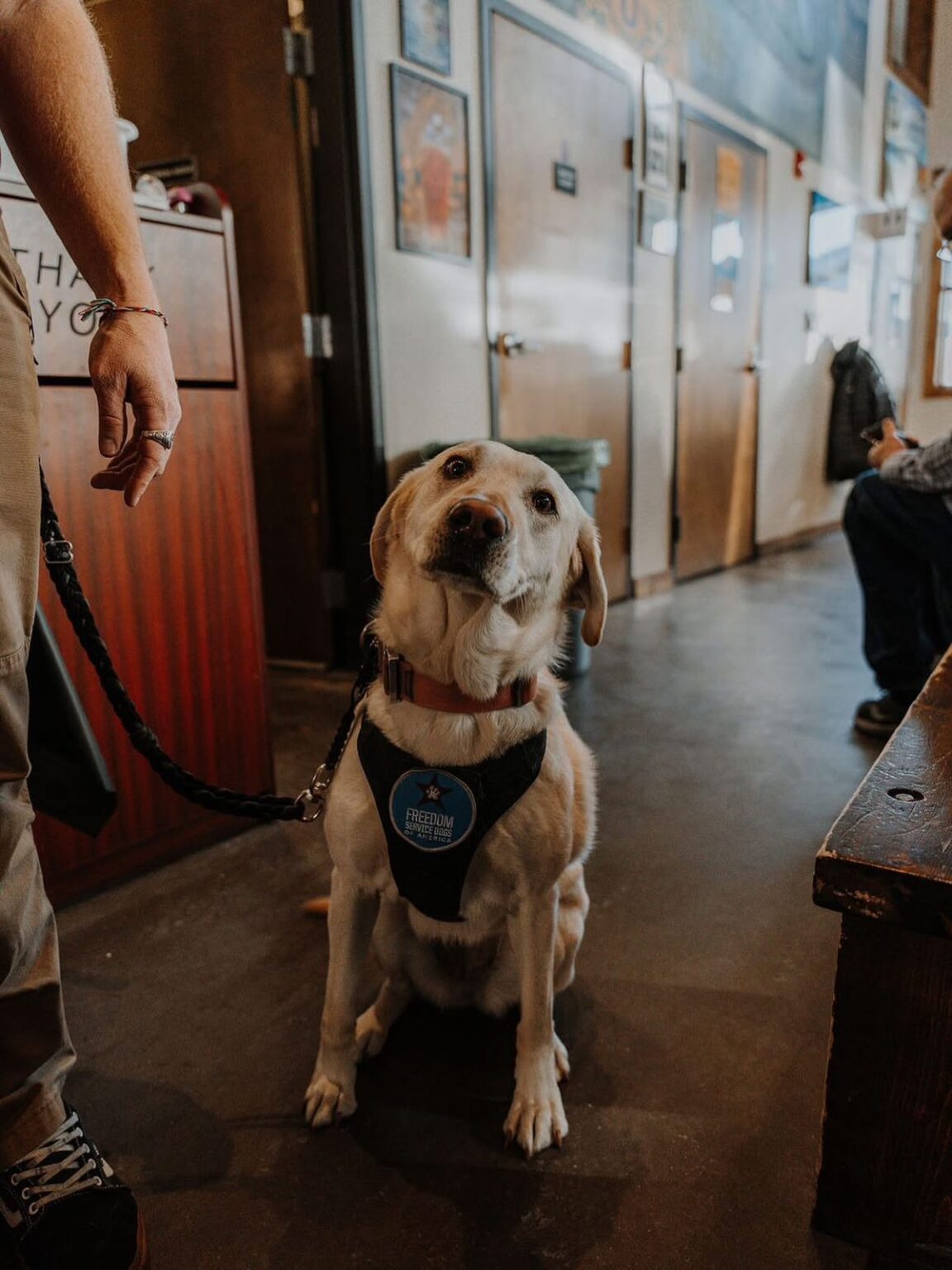 Dog Friendly Patio Breweries and Distilleries in Colorado – What's A ...